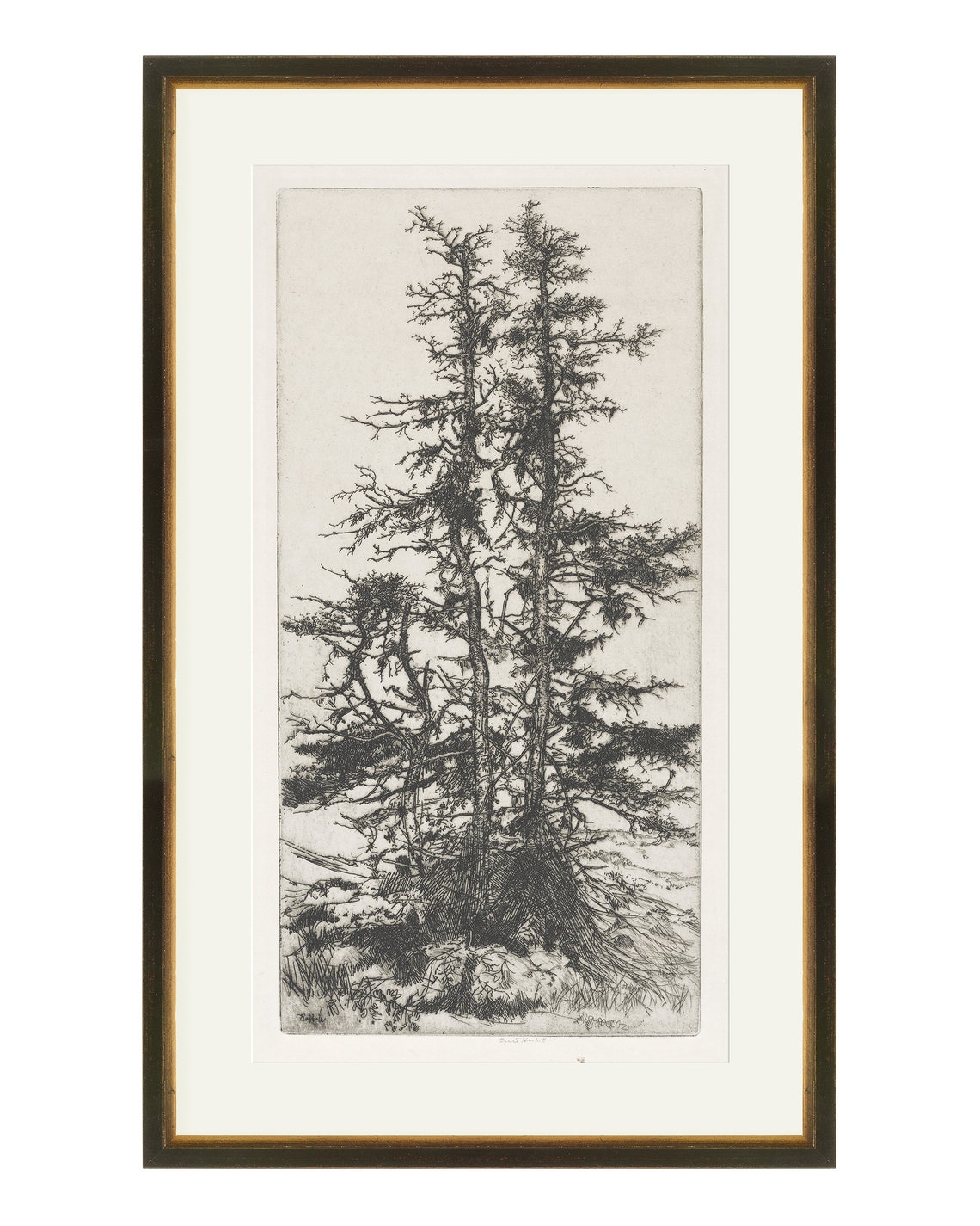 Set of 4 Trees Etchings Vintage Trees Prints Gallery Wall - Etsy