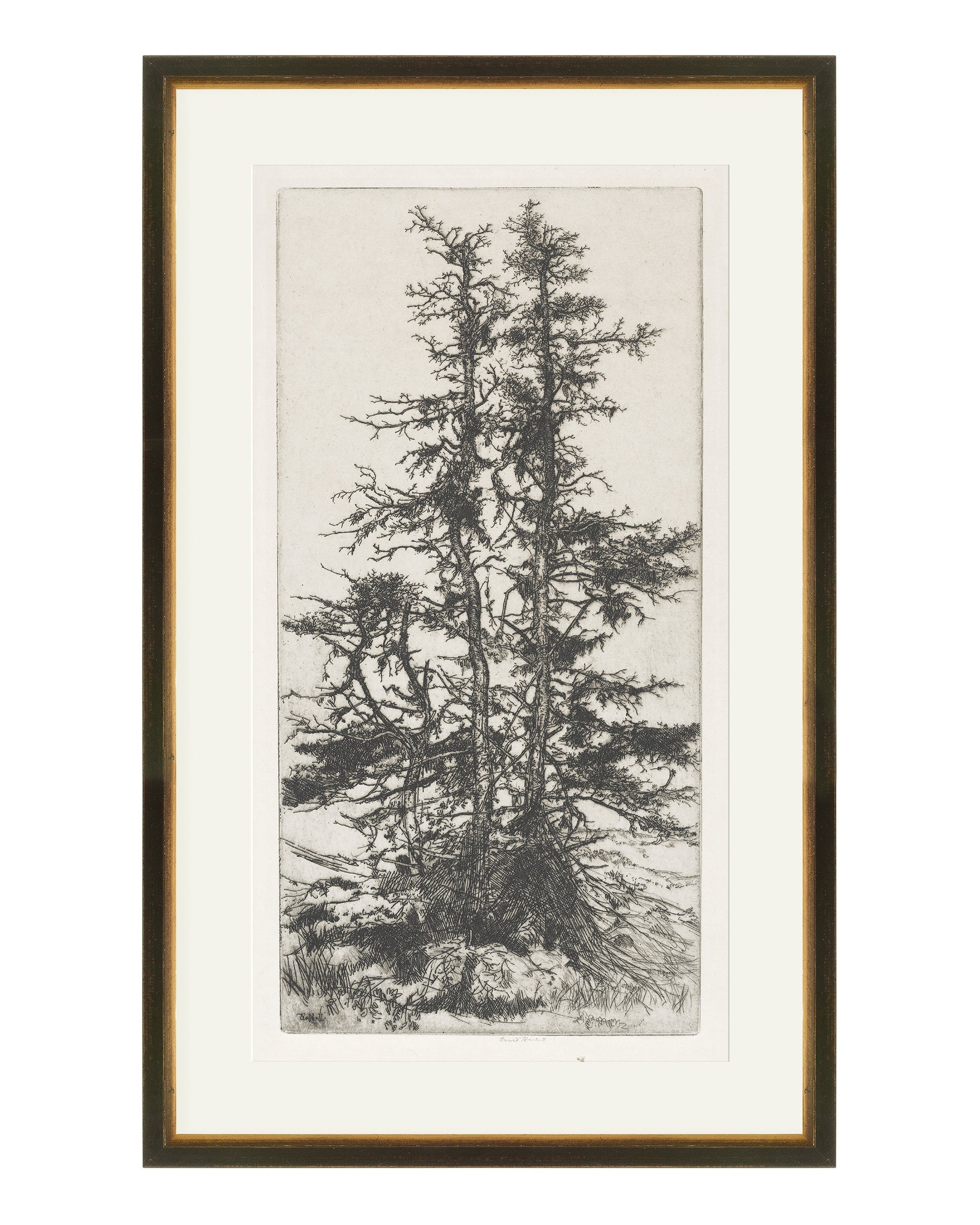 Set of 4 Trees Etchings, Vintage Trees Prints, Gallery Wall Vintage Art ...