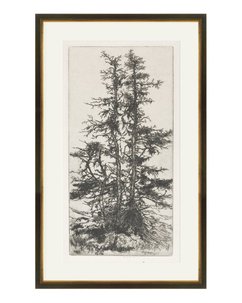 Set of 4 Trees Etchings, Vintage Trees Prints, Gallery Wall Vintage Art ...
