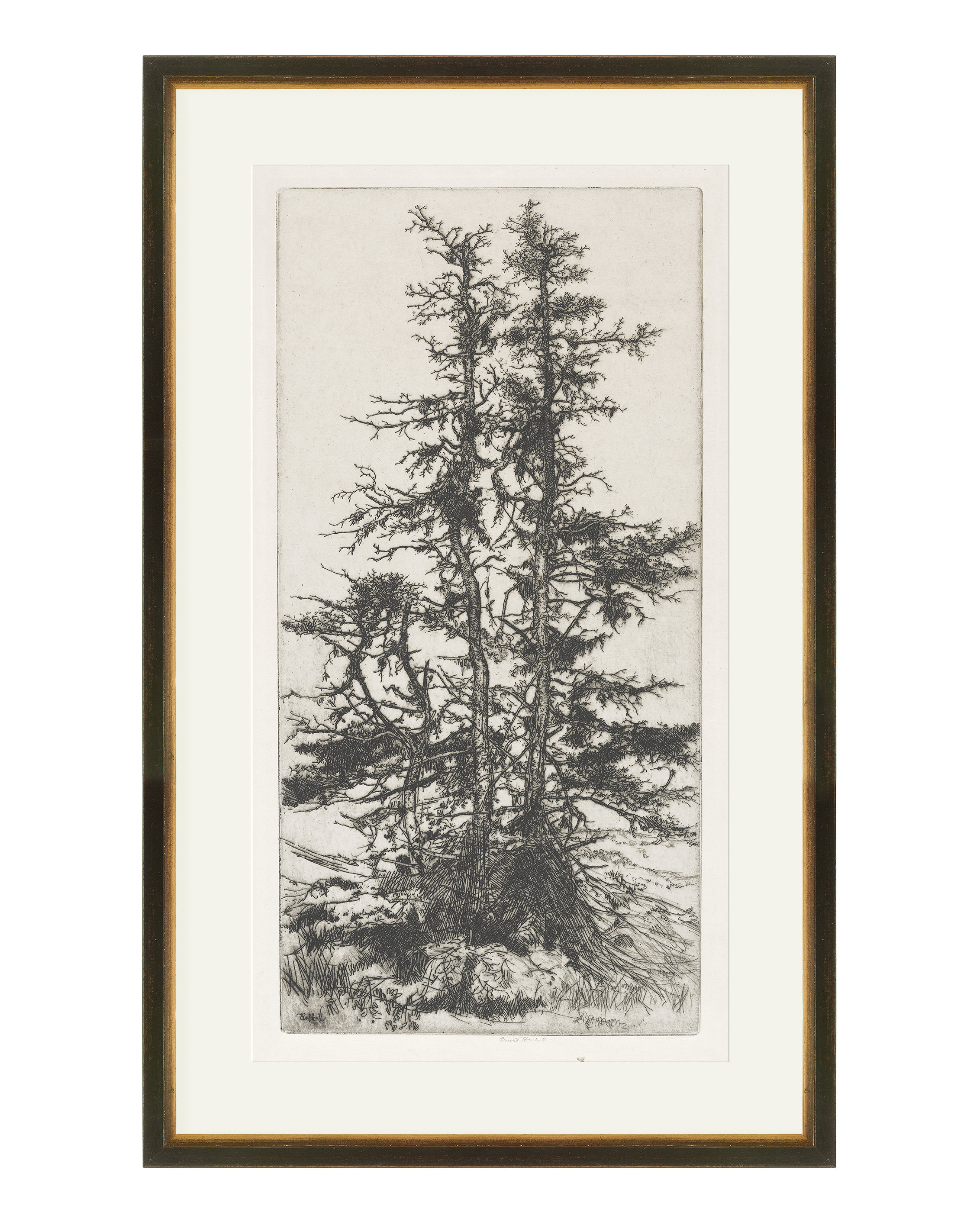Set of 4 Trees Etchings Vintage Trees Prints Gallery Wall - Etsy