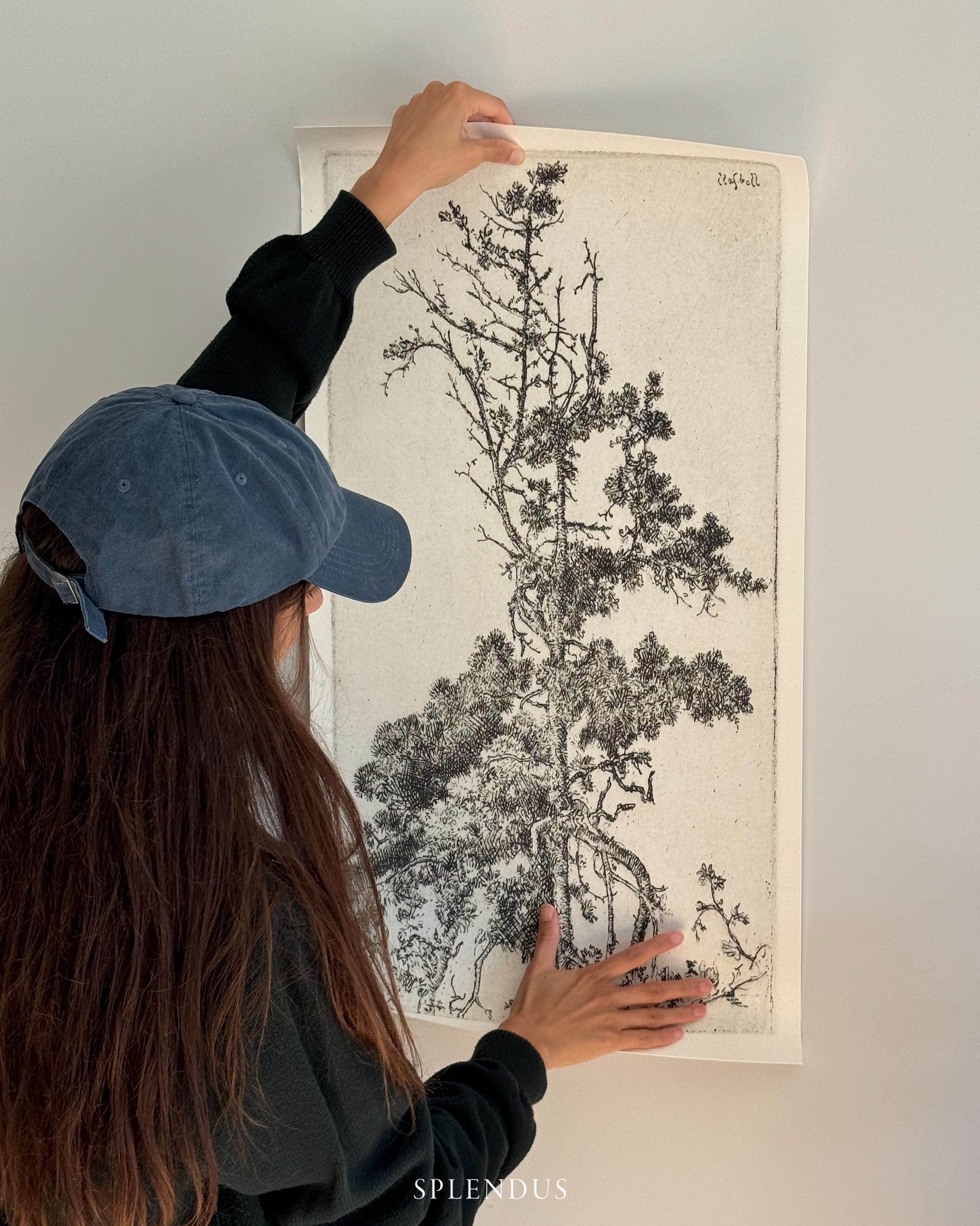 Trees Etching 1. Etchings & Engravings Print. Tree Art Print. Etching ...