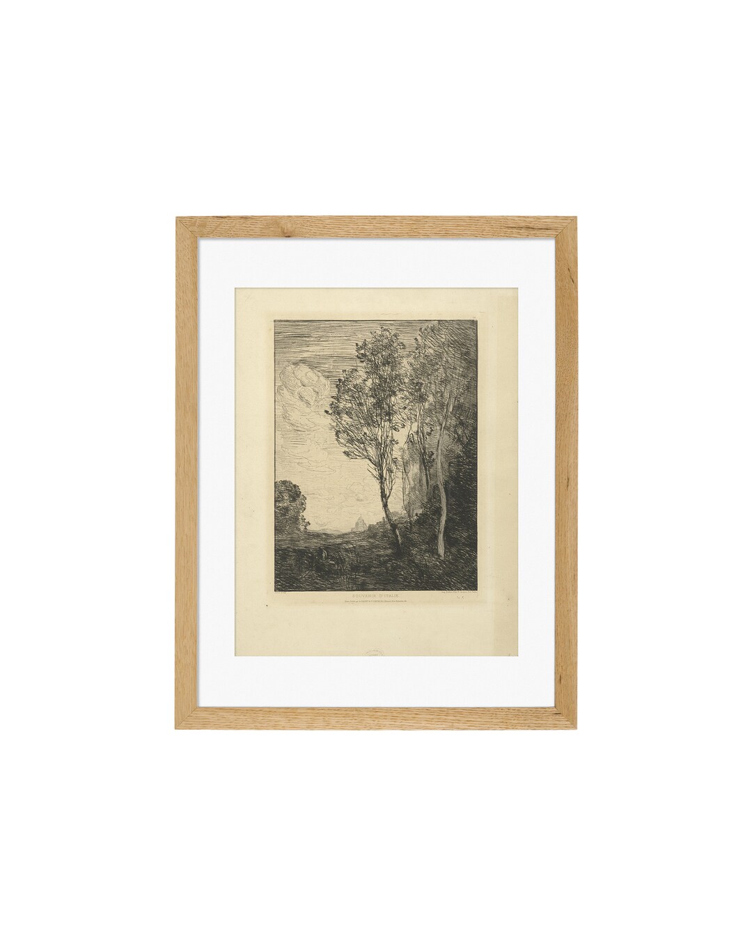 Trees Sketch Study Print. Forest Drawing Wall Art. Printed and Shipped ...