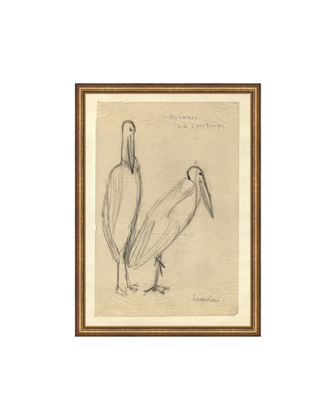 FRAMED. Bird Sketch. Bird Vintage Art Print. Vintage Bird | Etsy