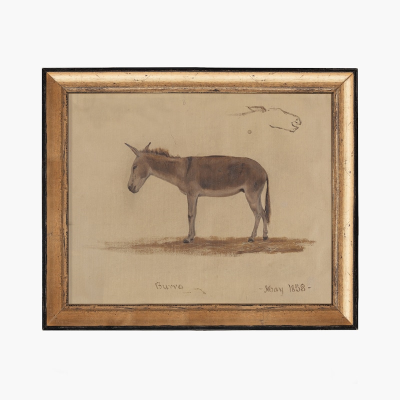 Donkey Antiques - Etsy