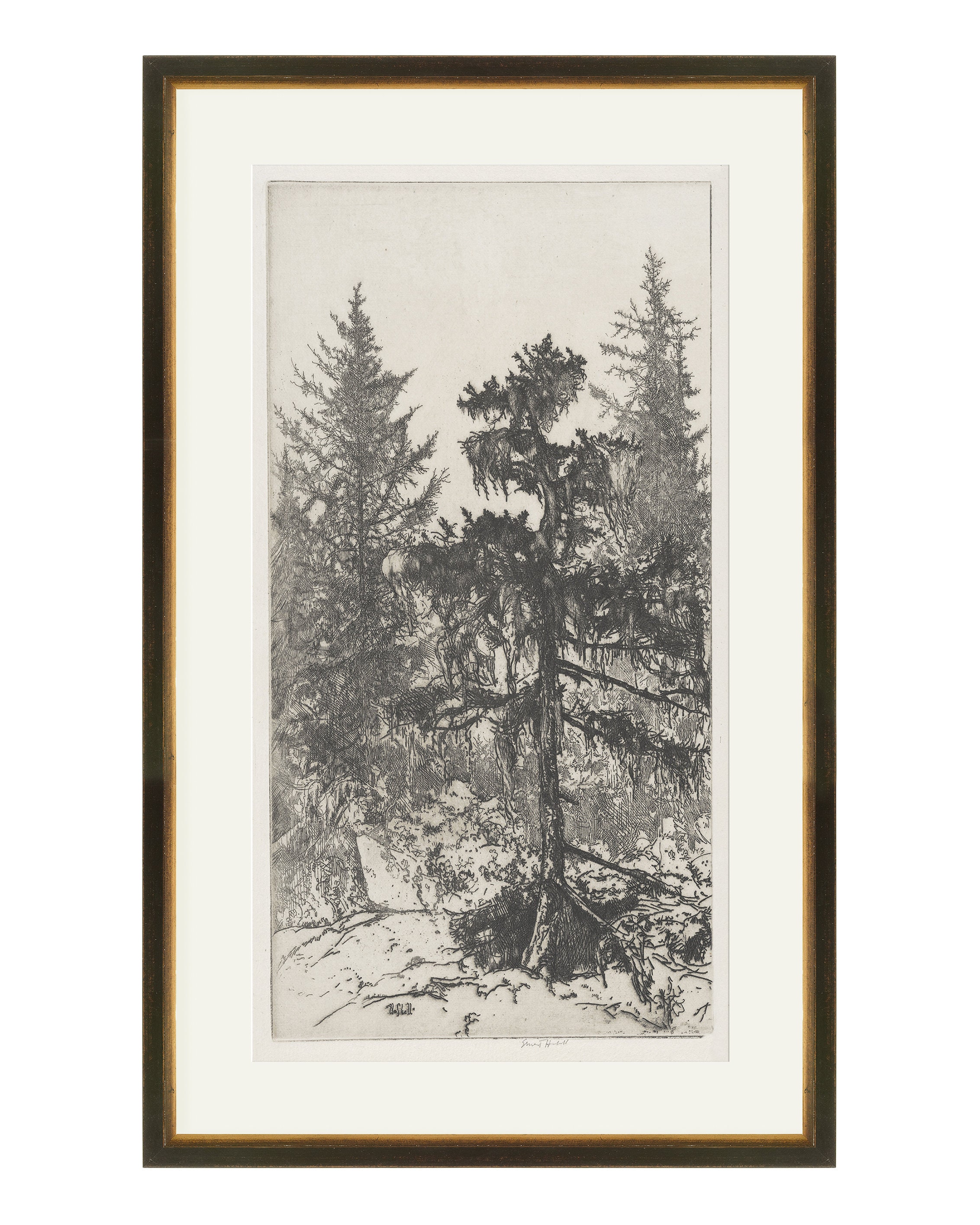 Set of 4 Trees Etchings, Vintage Trees Prints, Gallery Wall Vintage Art ...