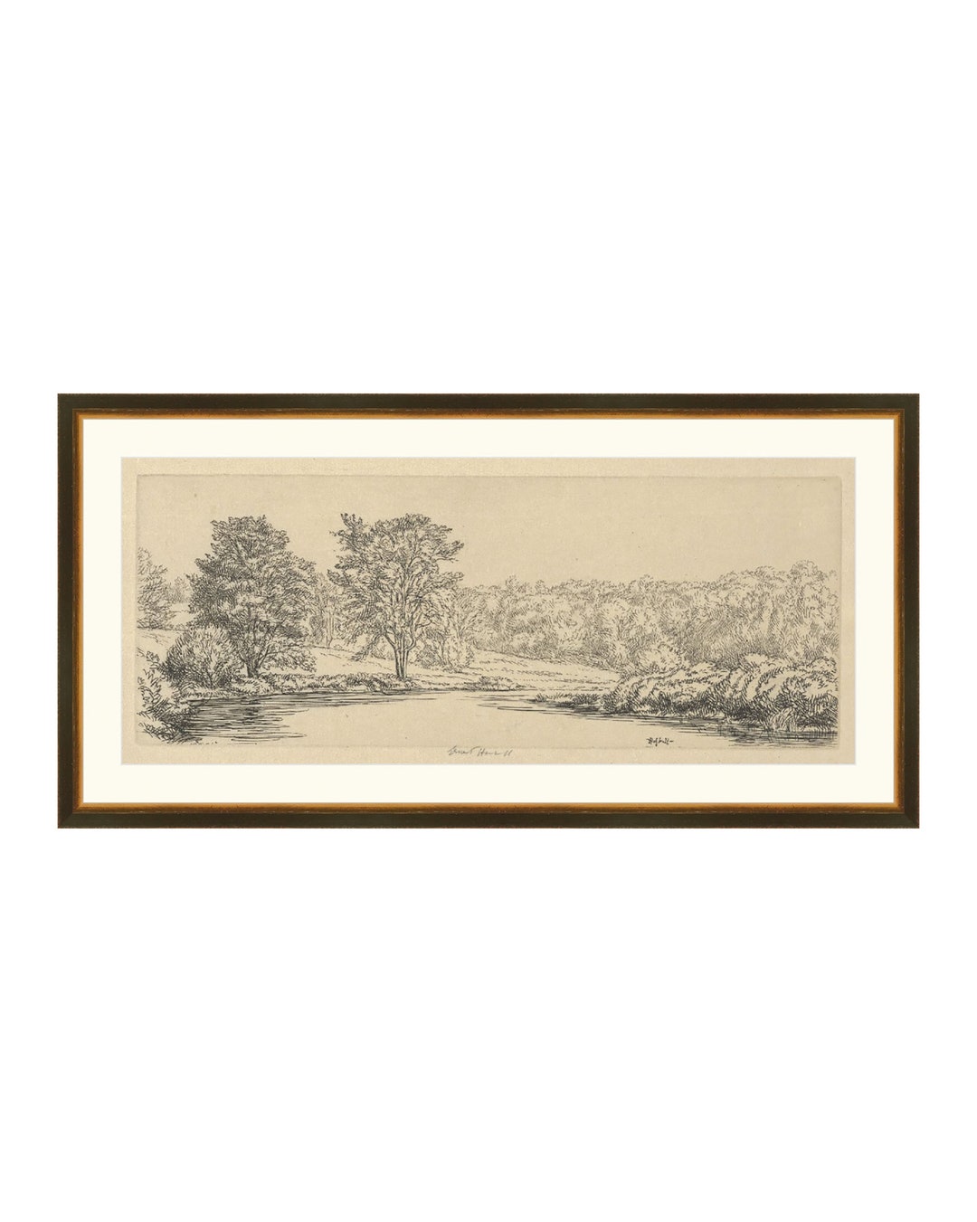 Forest Etching. Vintage Forest Drawing. Forest Landscape Print ...