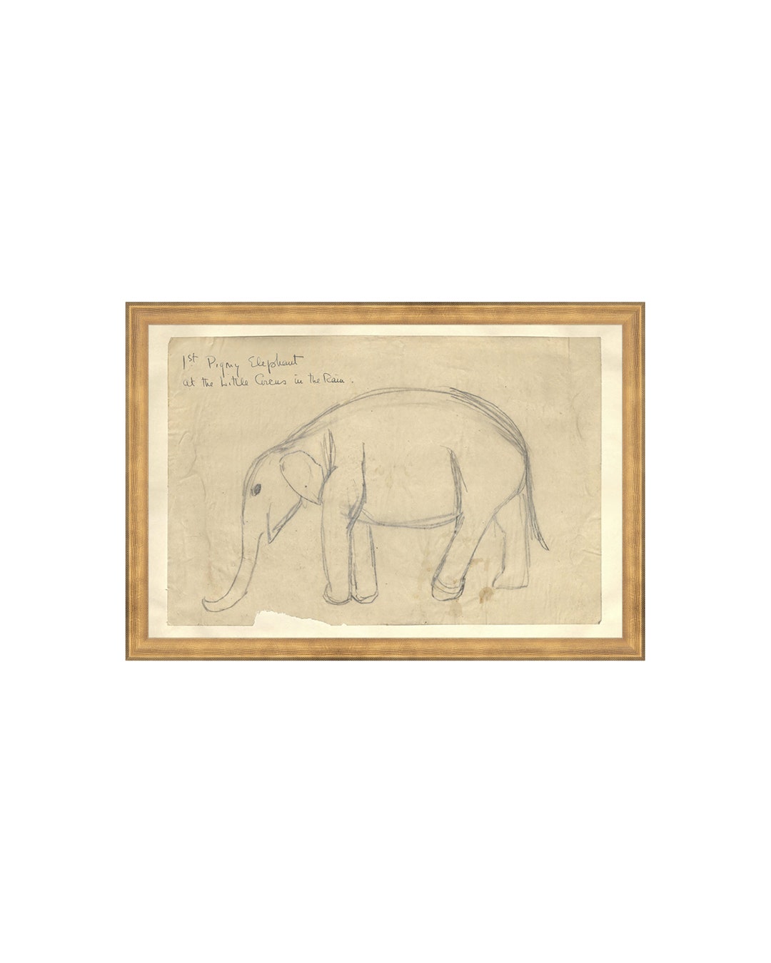 FRAMED. Elephant Sketch. Vintage Elephant Drawing. Framed Elephant ...