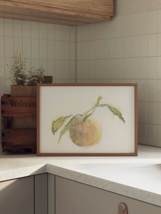 Splendus - Etsy Canada