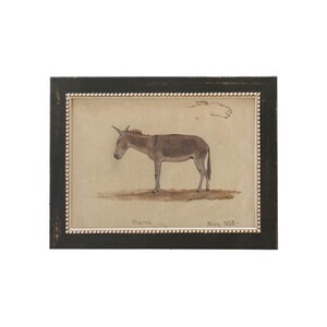 FRAMED. Donkey. Antique Animal Art. Vintage Animal Wall. Donkey Study ...
