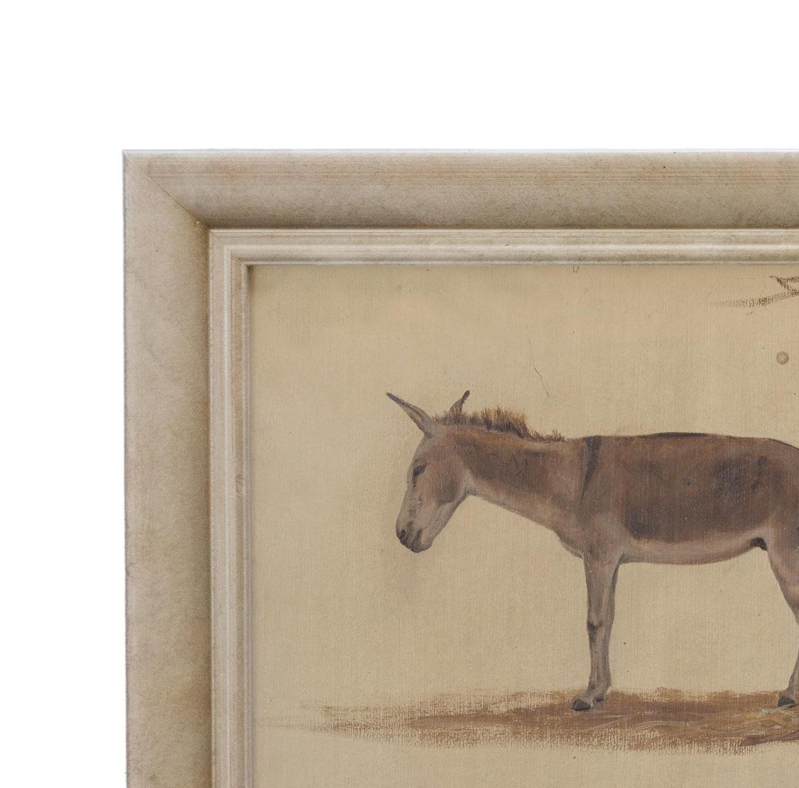 FRAMED. Donkey. Antique Animal Art. Vintage Animal Wall. Donkey Study ...