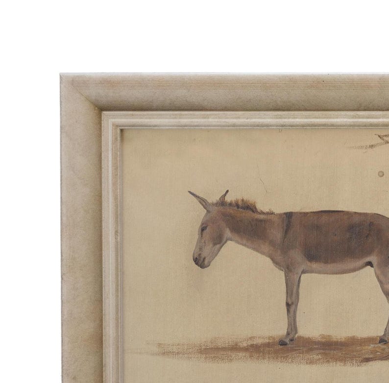 FRAMED. Donkey. Antique Animal Art. Vintage Animal Wall. Donkey Study ...