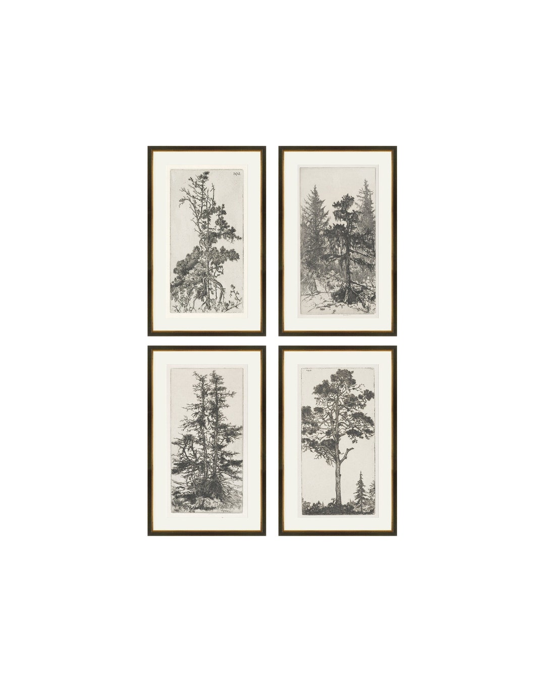 Set of 4 Trees Etchings, Vintage Trees Prints, Gallery Wall Vintage Art ...