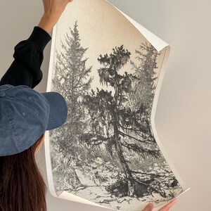 Trees Etching 2. Trees Wall Art Printed. Botanical Etching. Tree Prints ...