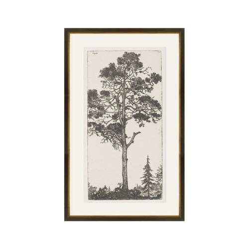 FRAMED. Trees Etching 1. Etching Tree Print. Framed Trees Wall - Etsy