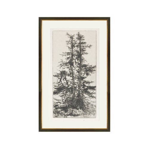 FRAMED. Trees Etching 1. Etching Tree Print. Framed Trees Wall - Etsy