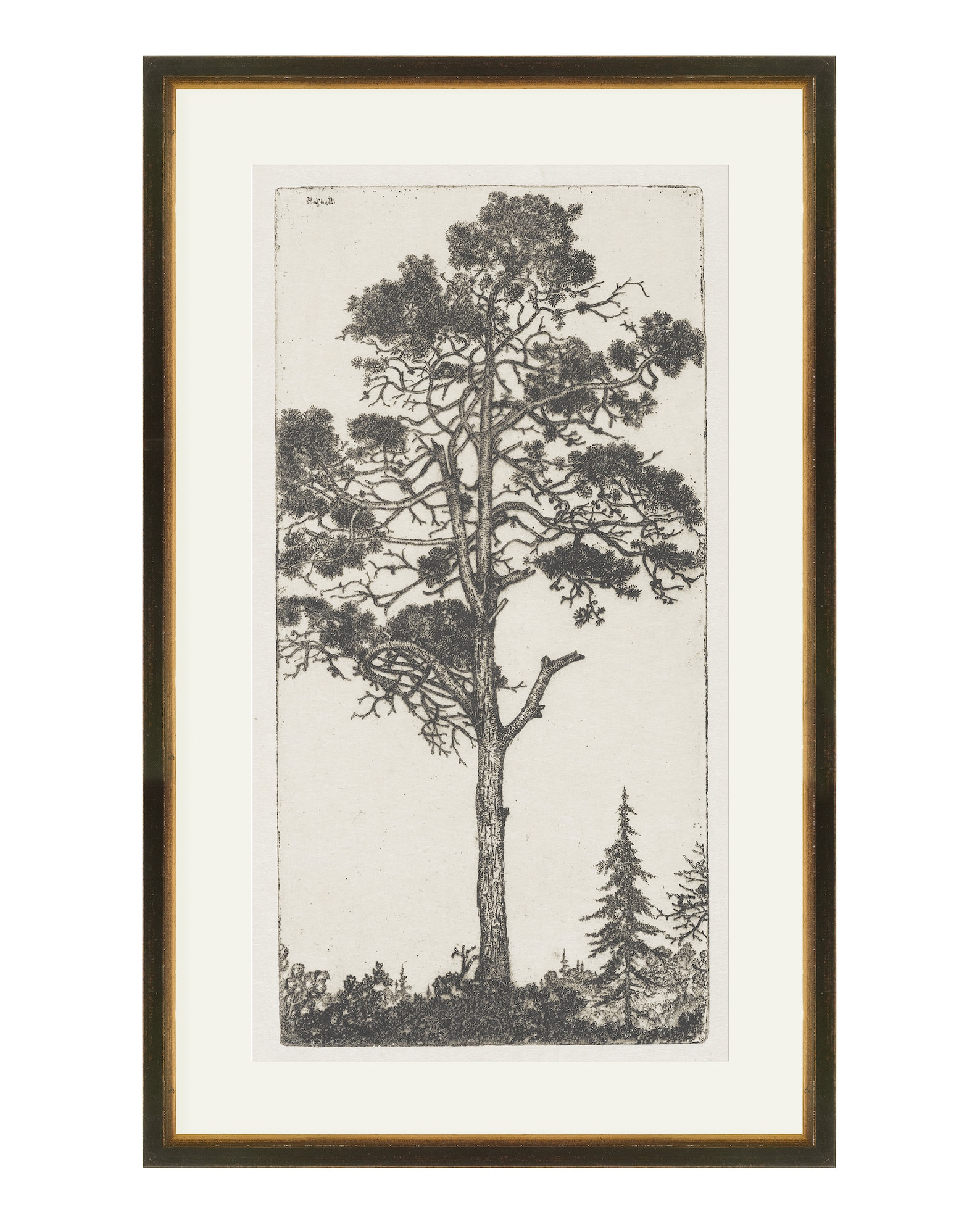 Set of 4 Trees Etchings Vintage Trees Prints Gallery Wall - Etsy