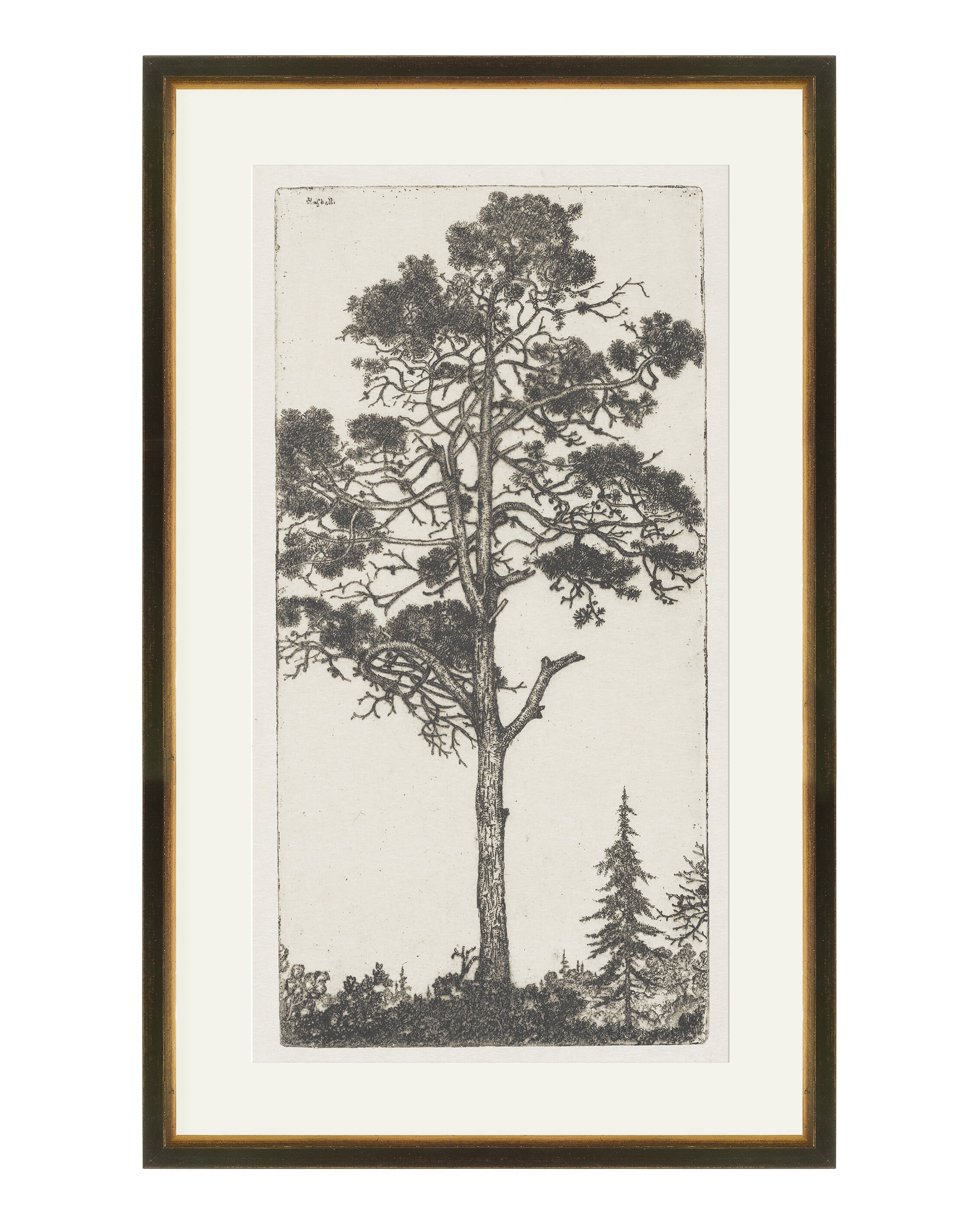 Set of 4 Trees Etchings Vintage Trees Prints Gallery Wall - Etsy