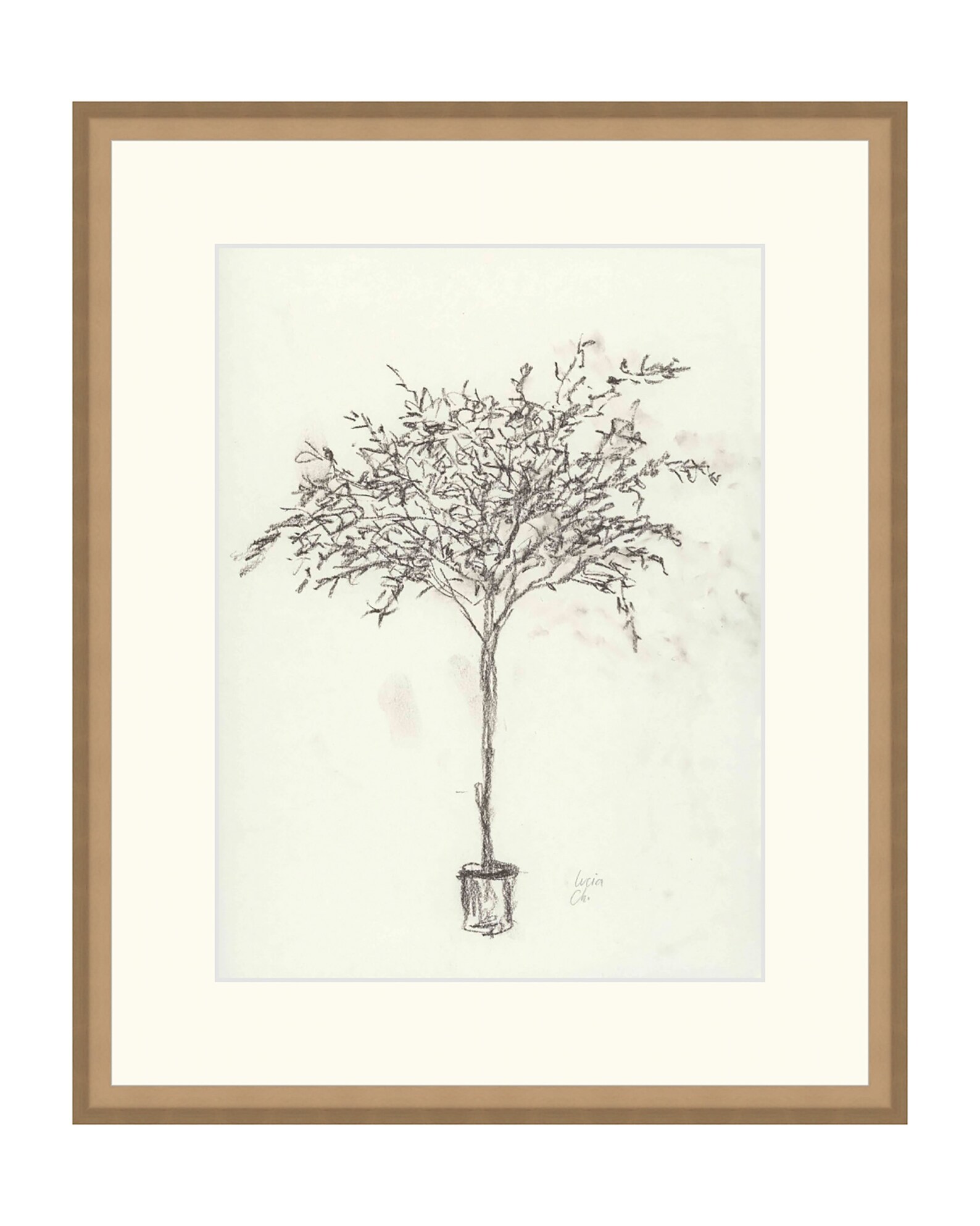 FRAMED. Olive Tree Sketch II. Framed Tree Wall Art. Vintage - Etsy
