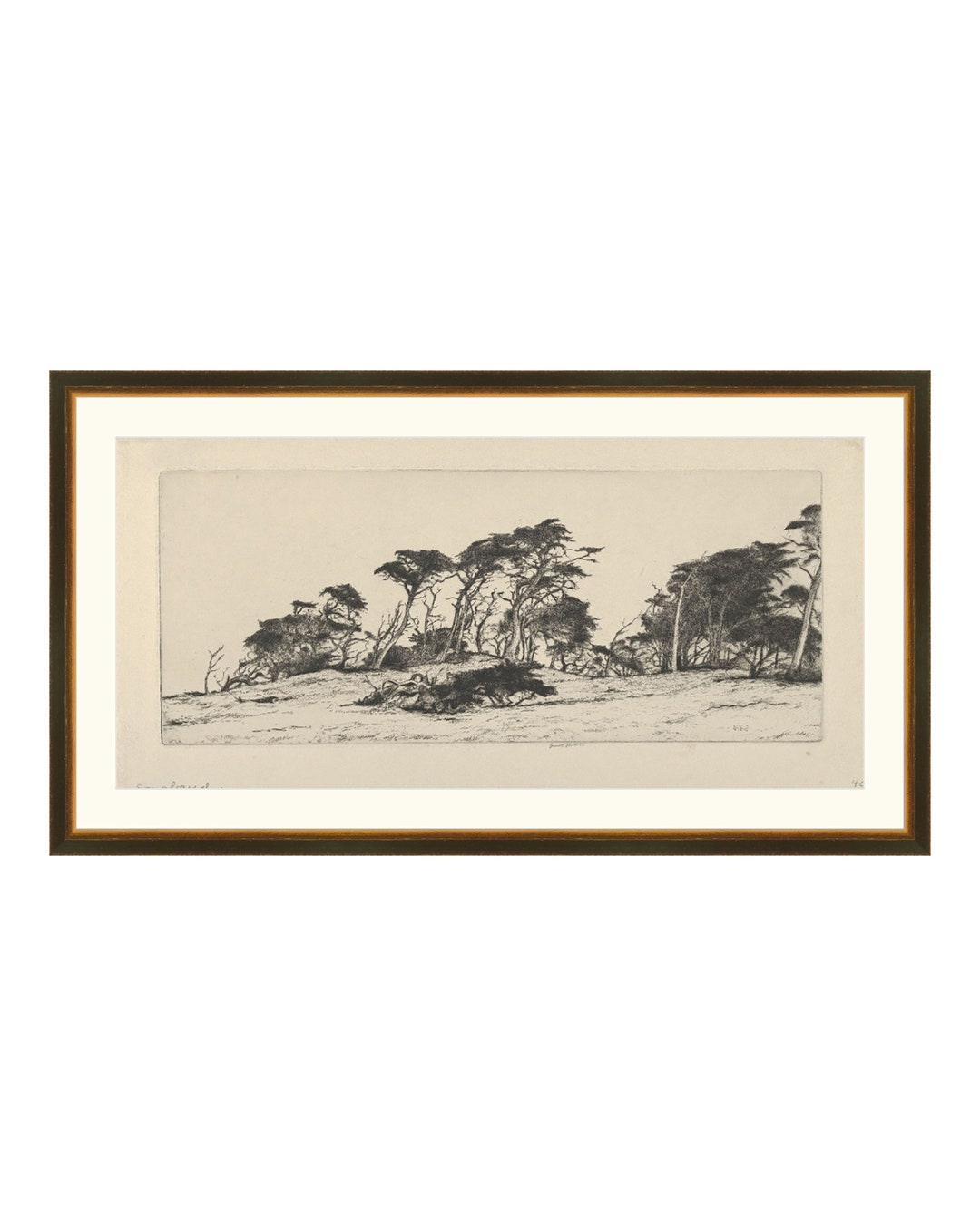 Forest Etching 2. Forest Landscape Art Print. Forest Landscape Vintage ...