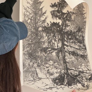 Trees Etching 2. Trees Wall Art Printed. Botanical Etching. Tree Prints ...