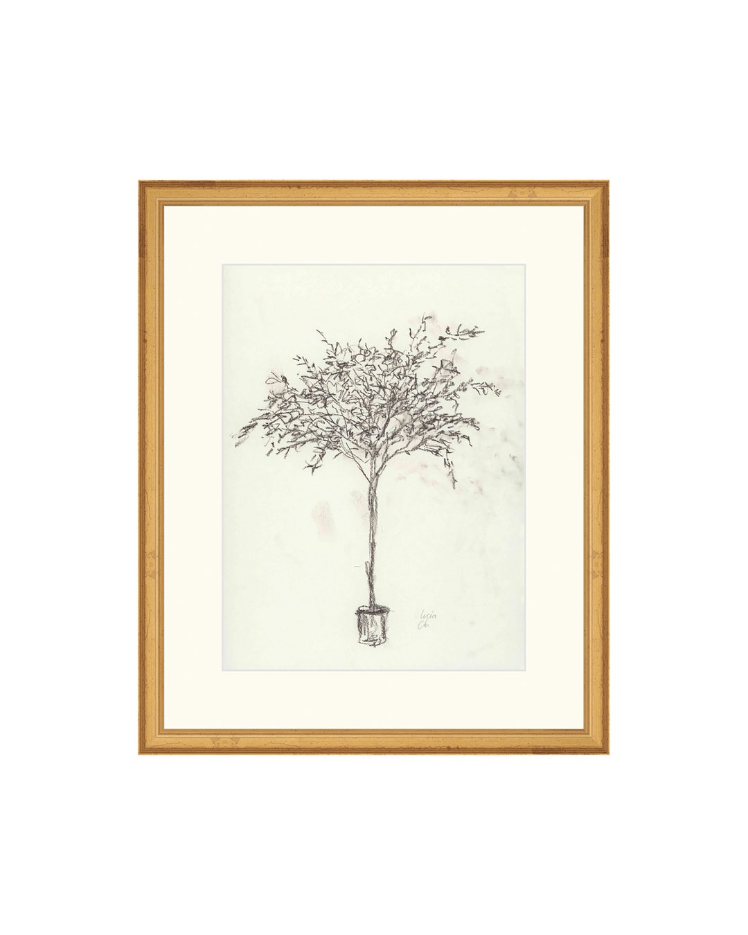ART PRINT Olive Tree Sketch II | Tree Sketch Print | Vintage Inspired ...