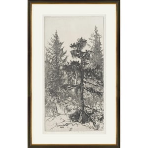 Trees Etching 2. Trees Wall Art Printed. Botanical Etching. Tree Prints ...