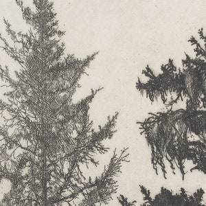 Trees Etching 2. Trees Wall Art Printed. Botanical Etching. - Etsy