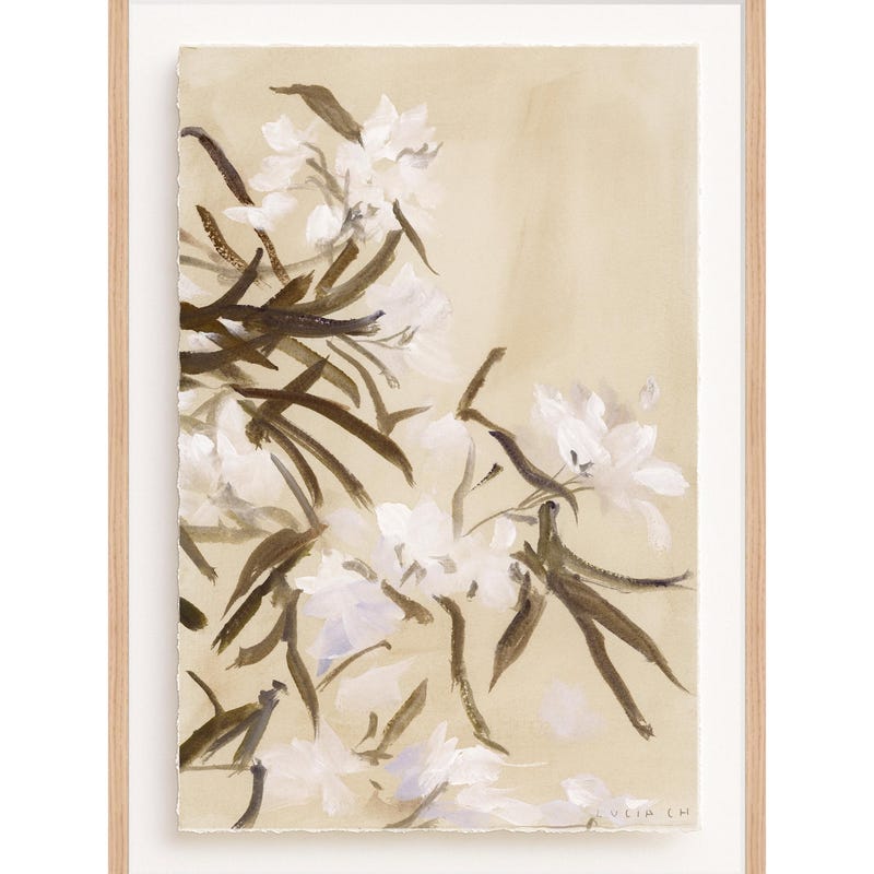 Splendus - Etsy Canada