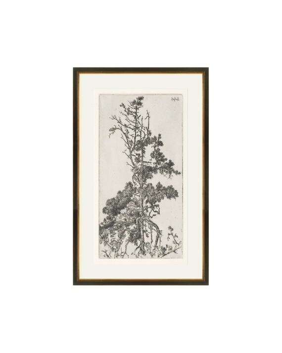 FRAMED. Trees Etching 4. Etching Tree Print. Trees Wall Art. | Etsy