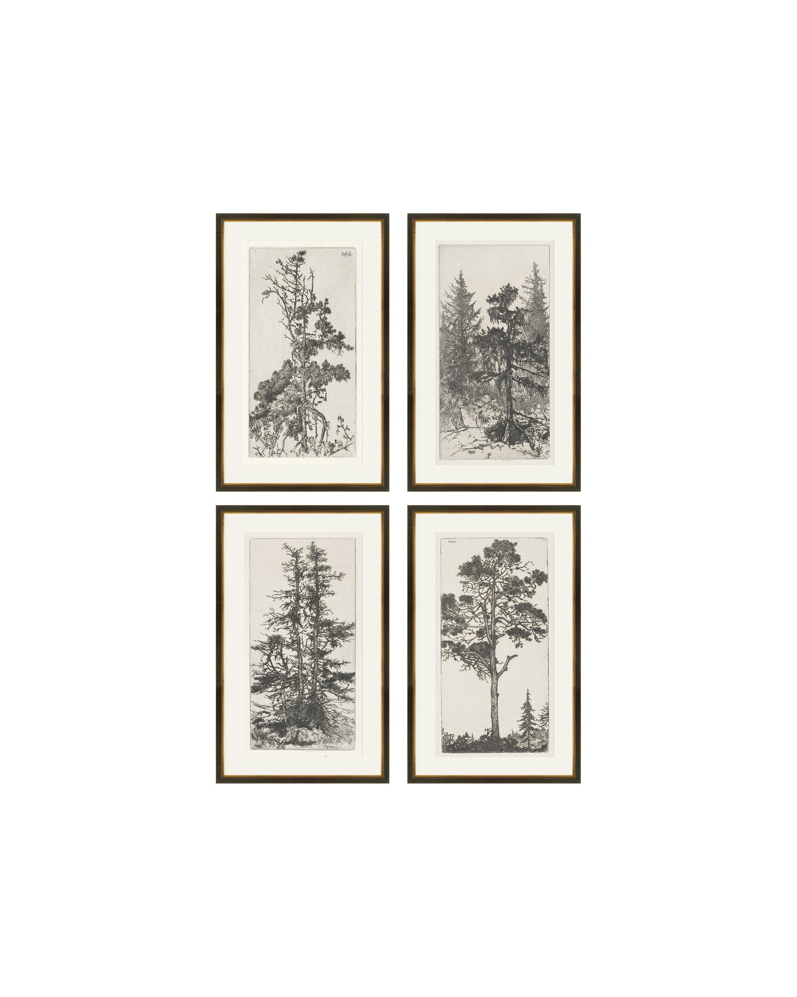Set of 4 Trees Etchings Vintage Trees Prints Gallery Wall - Etsy
