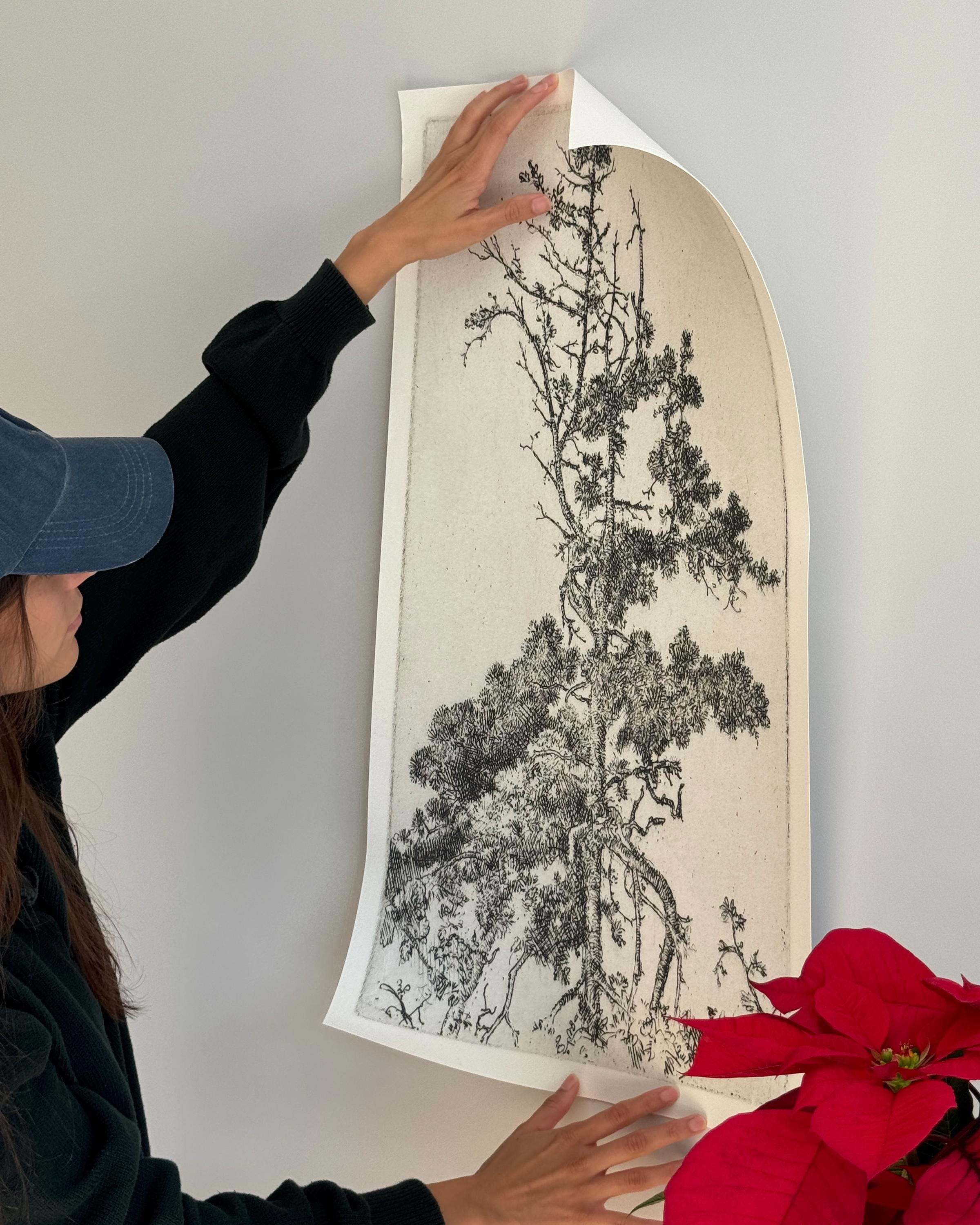 FRAMED. Trees Etching 4. Etching Tree Print. Trees Wall Art. Framed ...