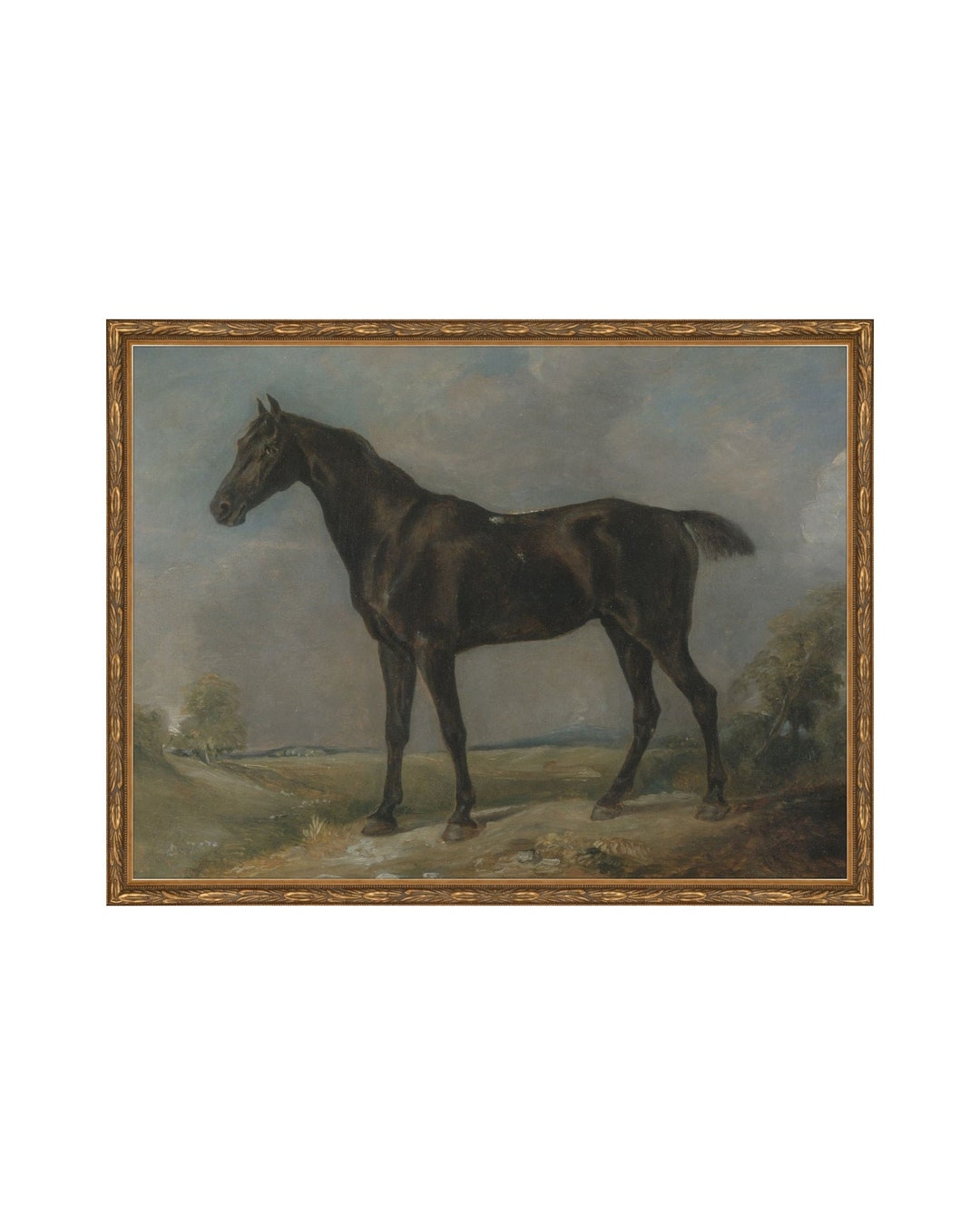 Study of a Horse II | Wall Art Horse | Horse Wall Art | Animal Oil ...