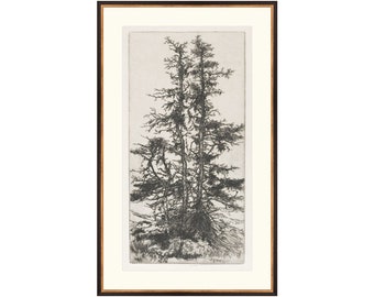 Trees Etching 4. Botanical Art Print. Vintage Tree Print. Tree - Etsy