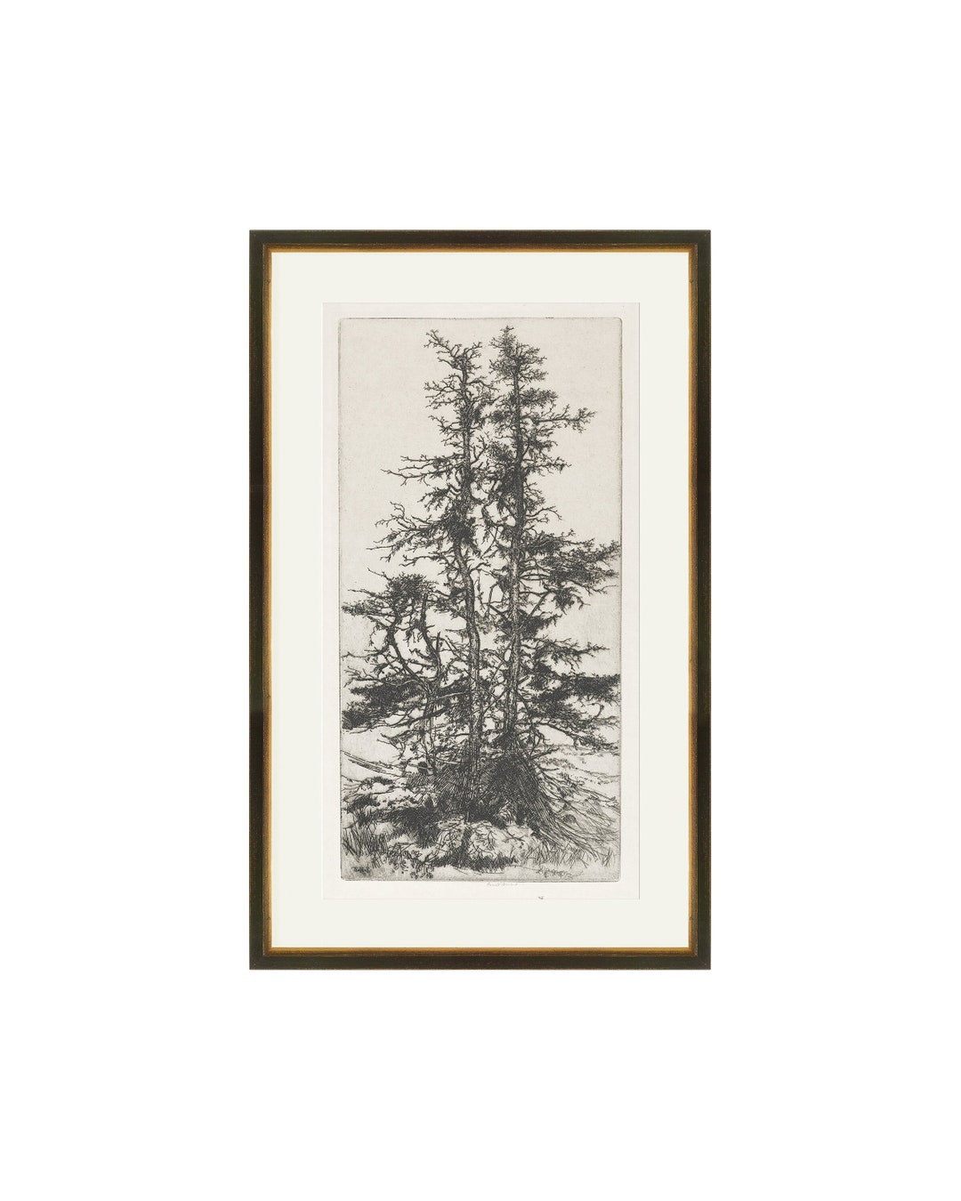 FRAMED Trees Etching 3 | Vintage Trees Wall Art | Tree Wall Art ...