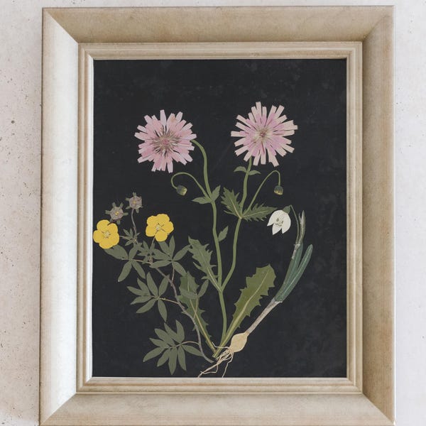 Splendus - Etsy Canada