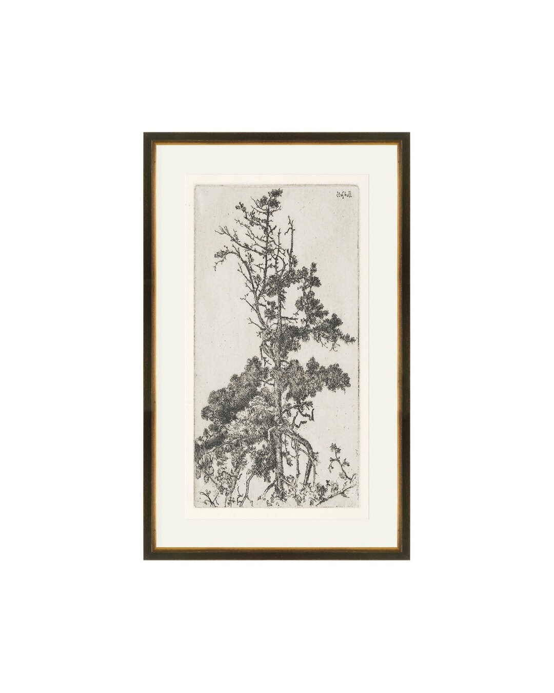 FRAMED. Trees Etching 4. Etching Tree Print. Trees Wall Art. Framed ...