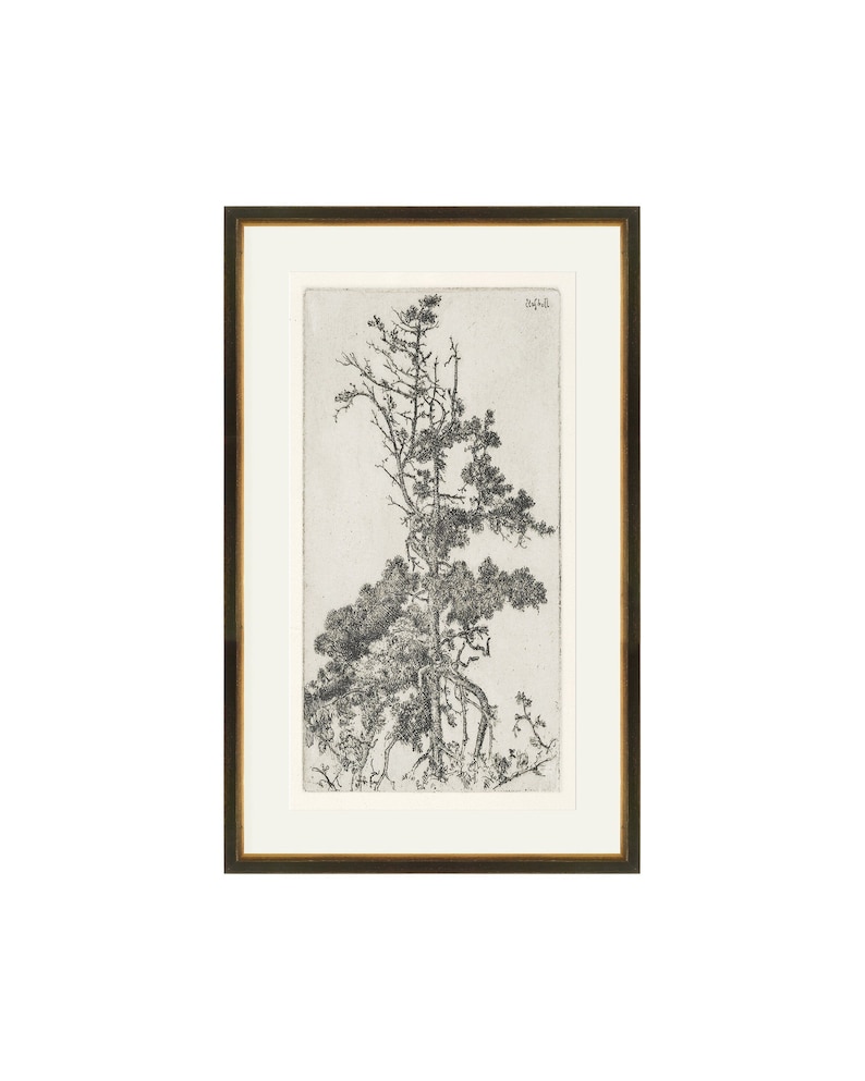 FRAMED. Trees Etching 4. Etching Tree Print. Trees Wall Art. Framed ...