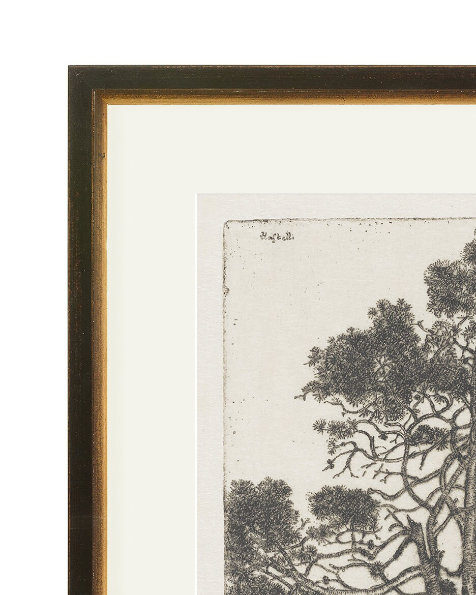 Trees Etching 1. Etchings & Engravings Print. Tree Art Print. Etching ...