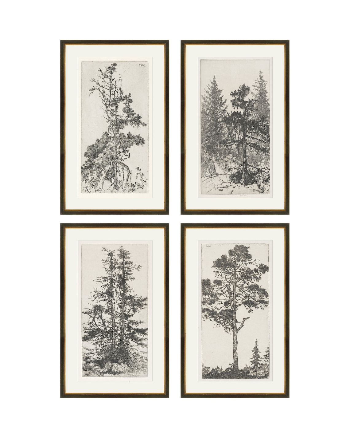 Set of 4 Trees Etchings Vintage Trees Prints Gallery Wall - Etsy