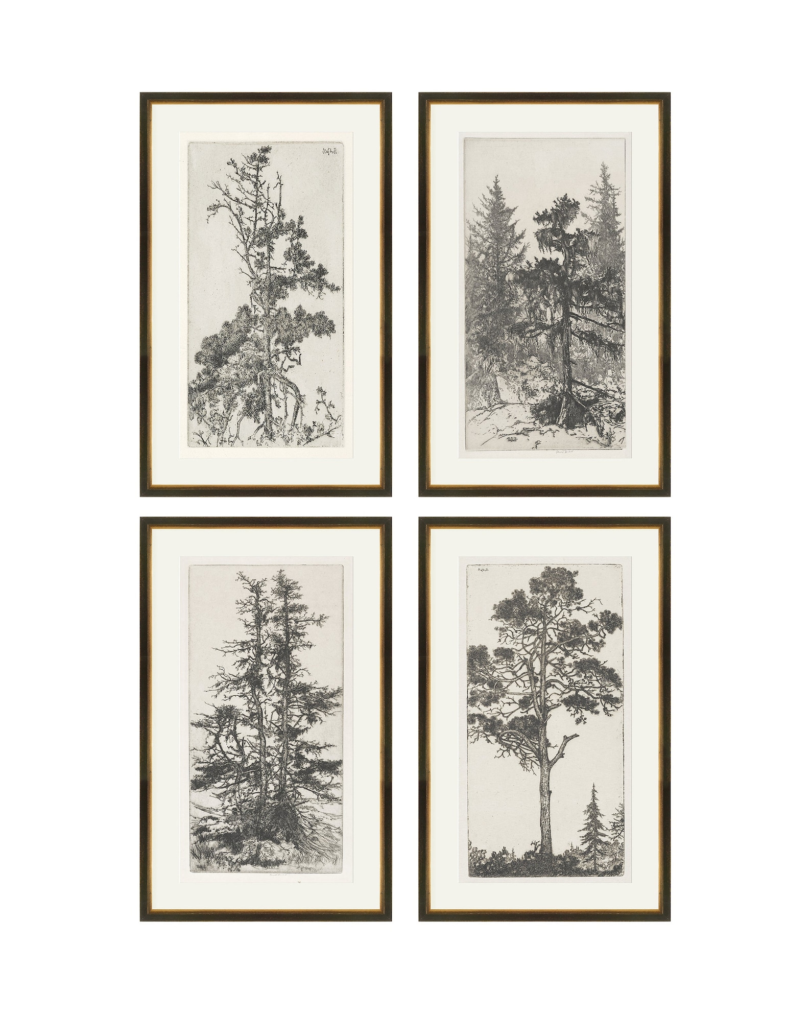 Set of 4 Trees Etchings Vintage Trees Prints Gallery Wall - Etsy