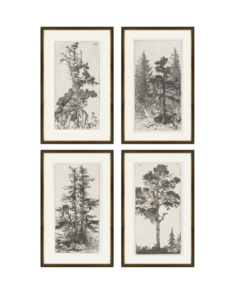Set of 4 Trees Etchings Vintage Trees Prints Gallery Wall - Etsy