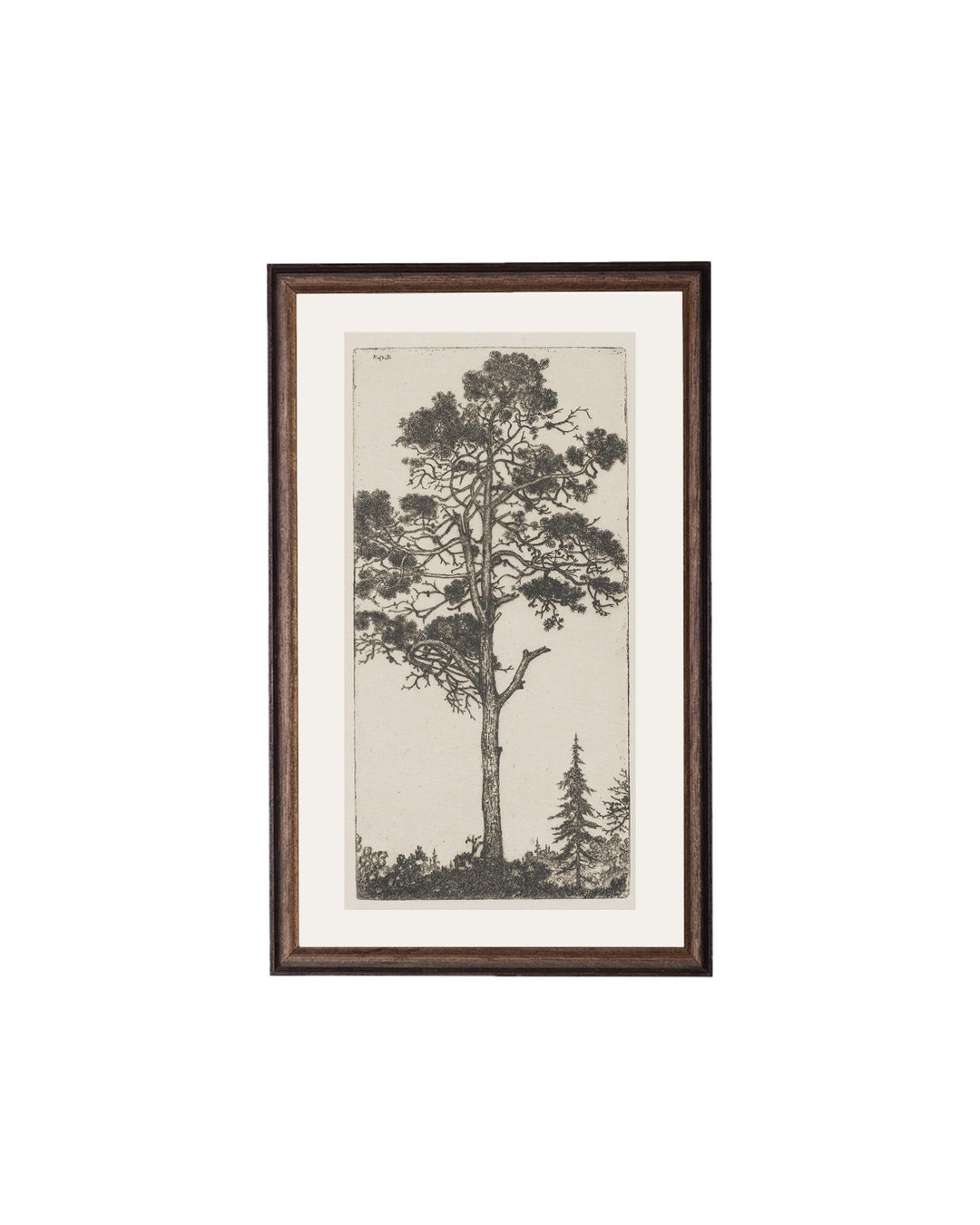 Trees Etching 1. Etchings & Engravings Print. Tree Art Print. Etching ...