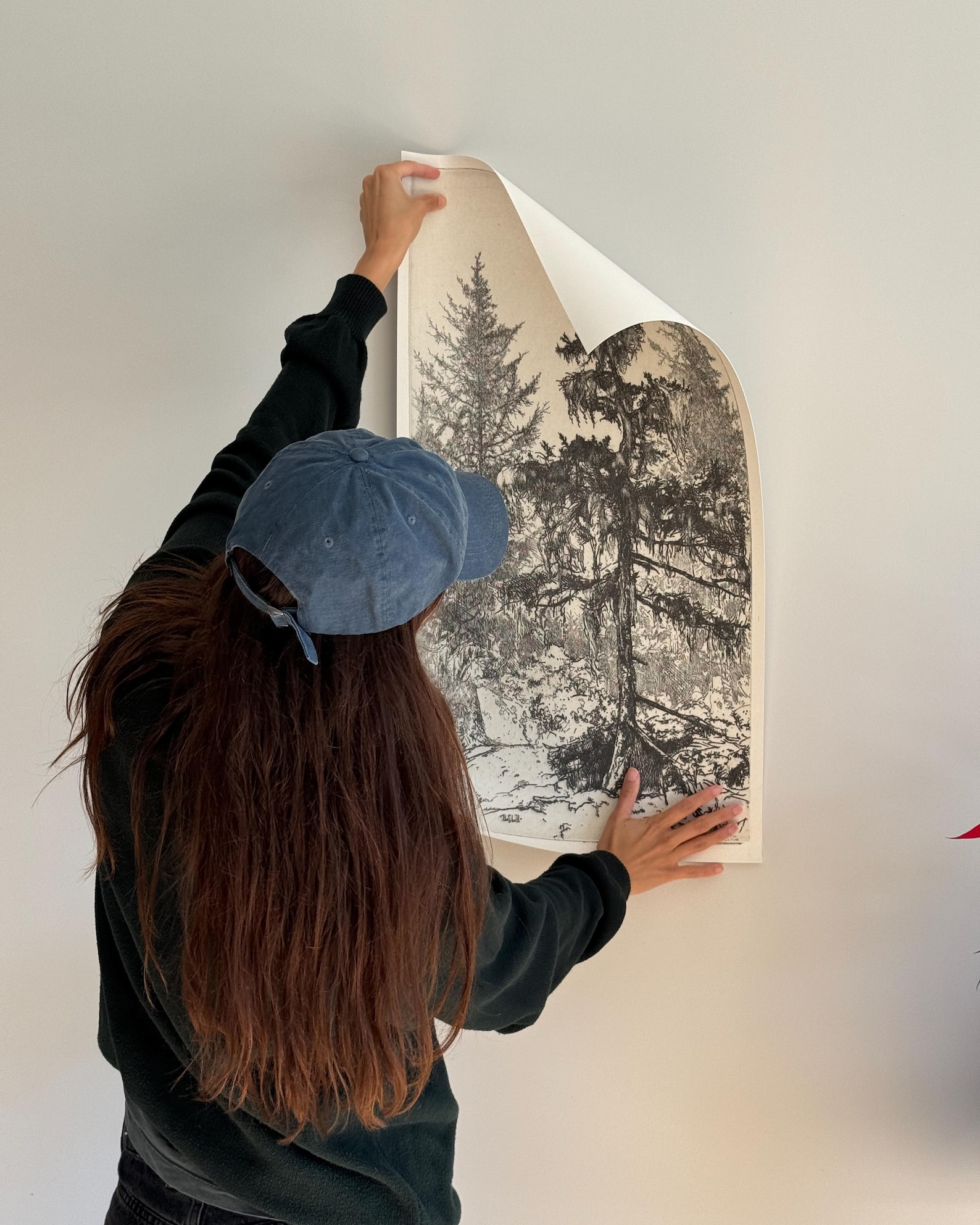 Trees Etching 2. Trees Wall Art Printed. Botanical Etching. Tree Prints ...