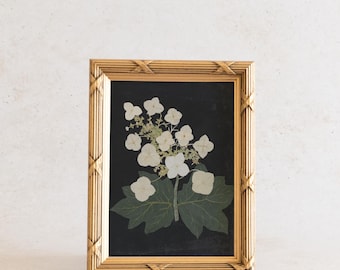Splendus - Etsy Canada
