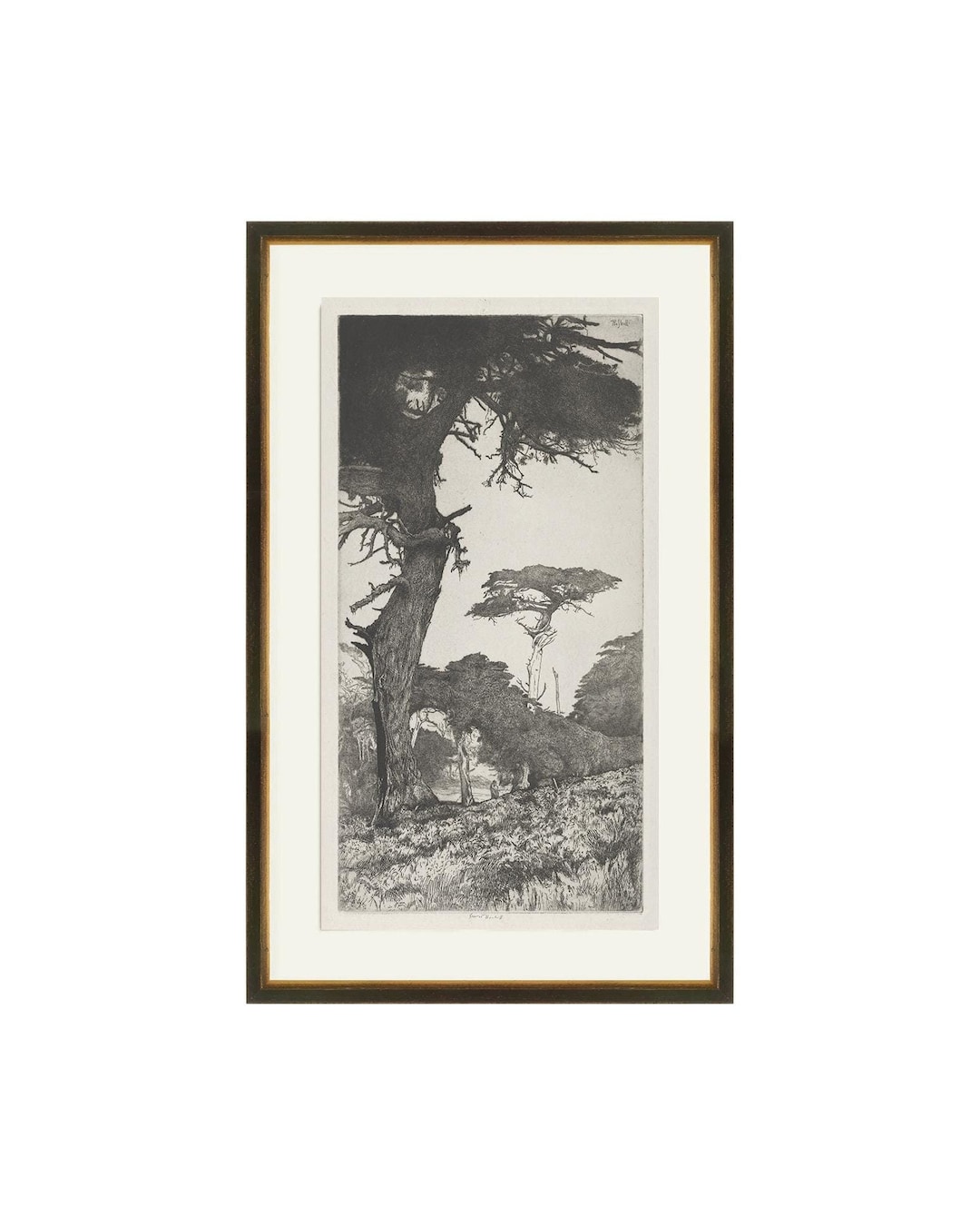 Trees Etching 6. Unframed Giclee Print. Etchings & Engravings Print ...