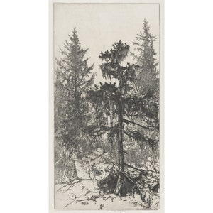 Trees Etching 2. Trees Wall Art Printed. Botanical Etching. Tree Prints ...