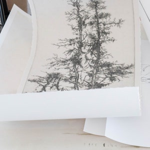 Trees Etching 4. Botanical Art Print. Vintage Tree Print. Tree Etching ...