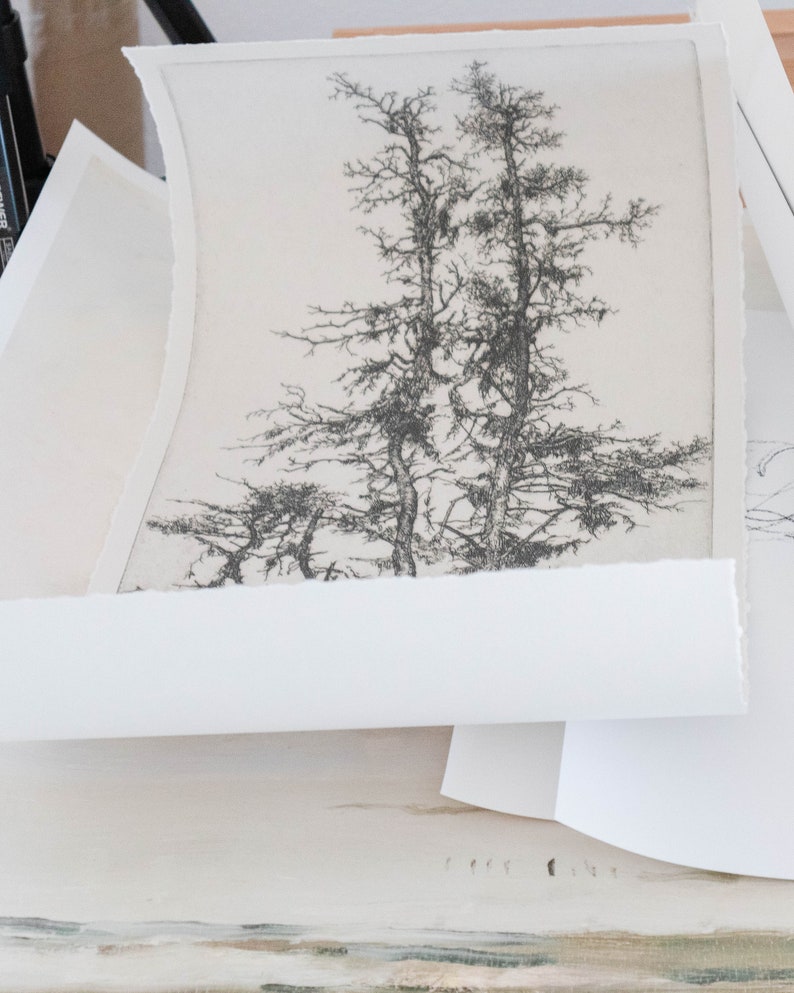 Trees Etching 4. Botanical Art Print. Vintage Tree Print. Tree Etching ...