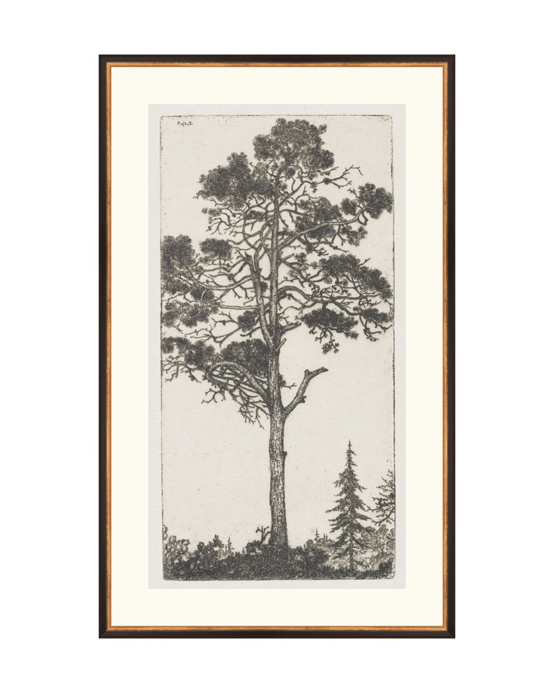 FRAMED Trees Etching 1. Etching Tree Print. Framed Trees Wall Art ...