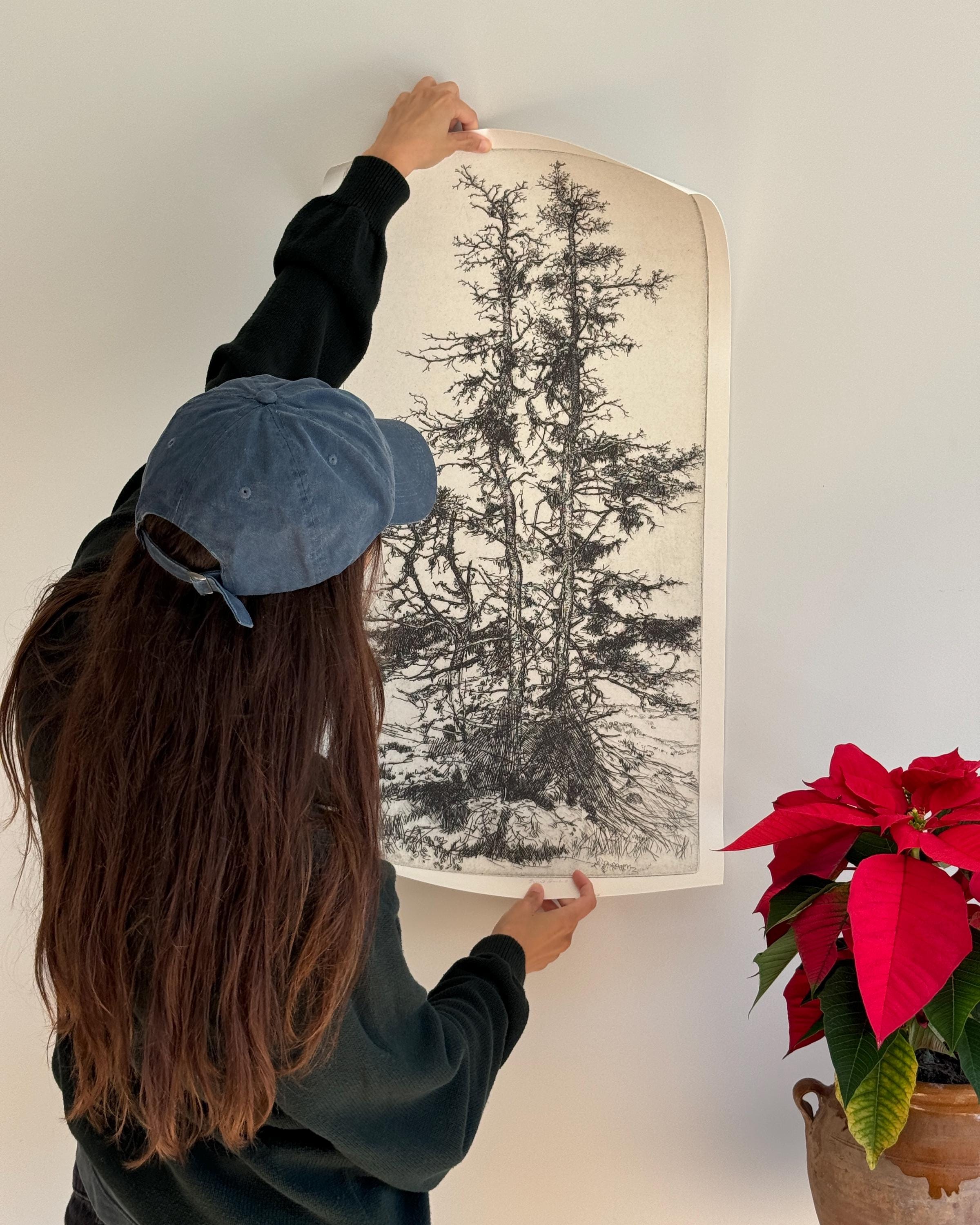 Trees Etching 3 | Printed and Shipped Art | Vintage Tree Print ...